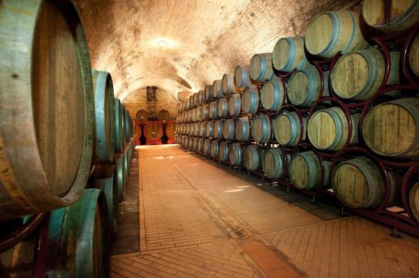 Tenuta di Sticciano – Road and Mtb professional guided tours